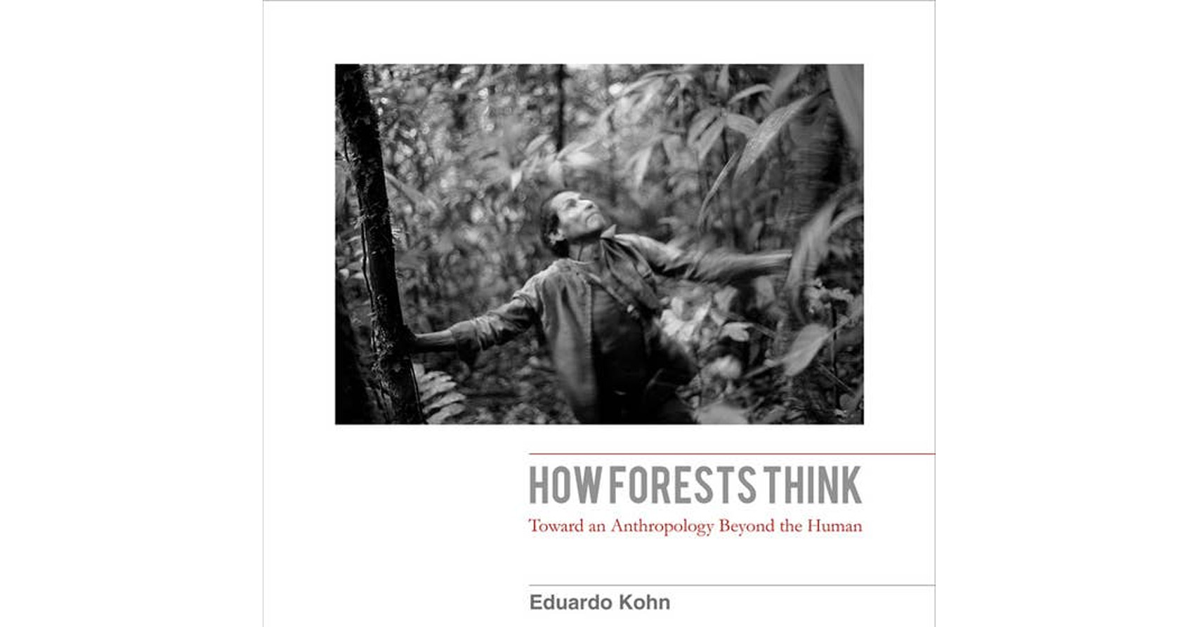รีวิวหนังสือ “How Forests Think: Toward an Anthropology Beyond the ...